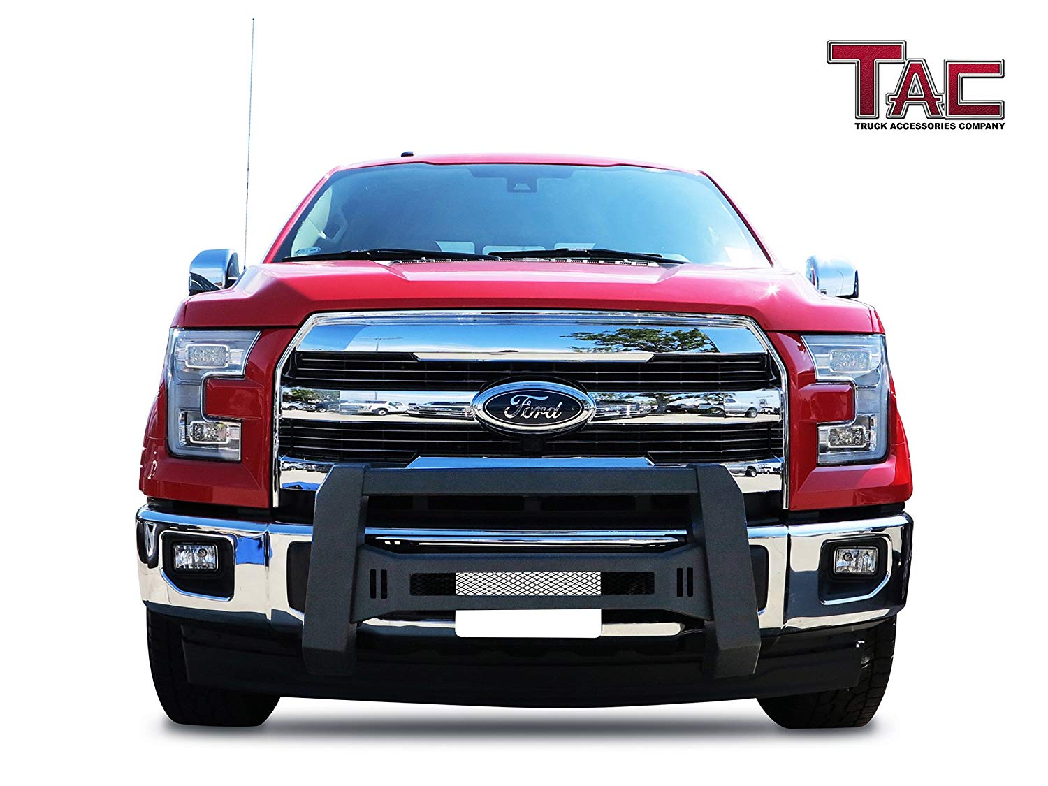 Bull Bar | TACUSA